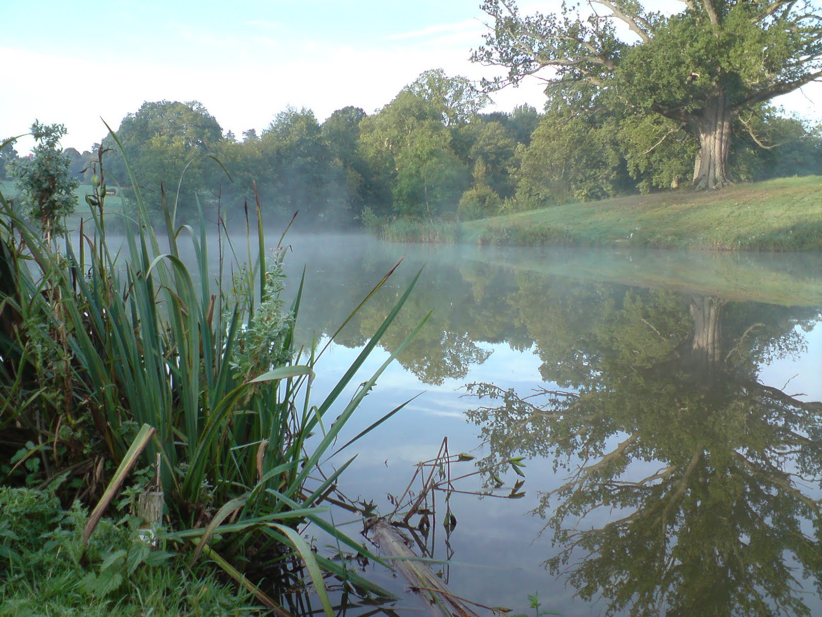 ProperFishermanProductions: Fishing the method feeder with float bite ...