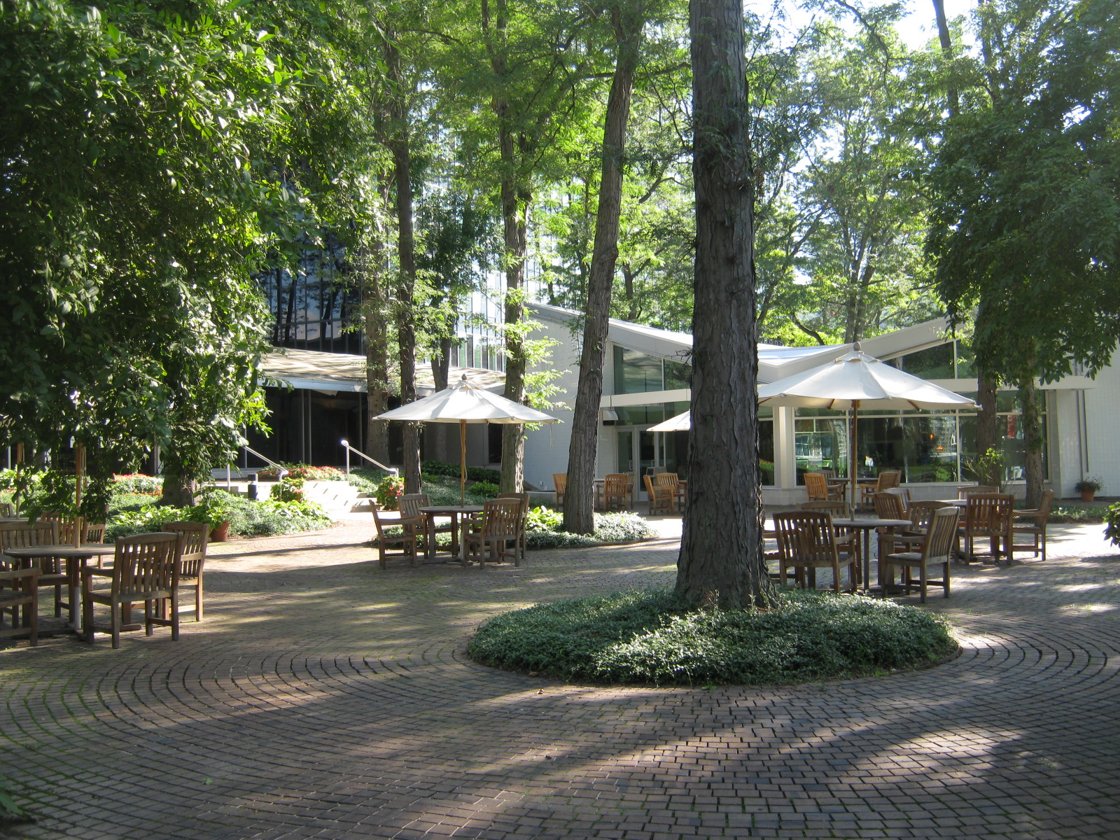 Corning NY Step by Step: CMOG ~ OUTSIDE AND ALL AROUND