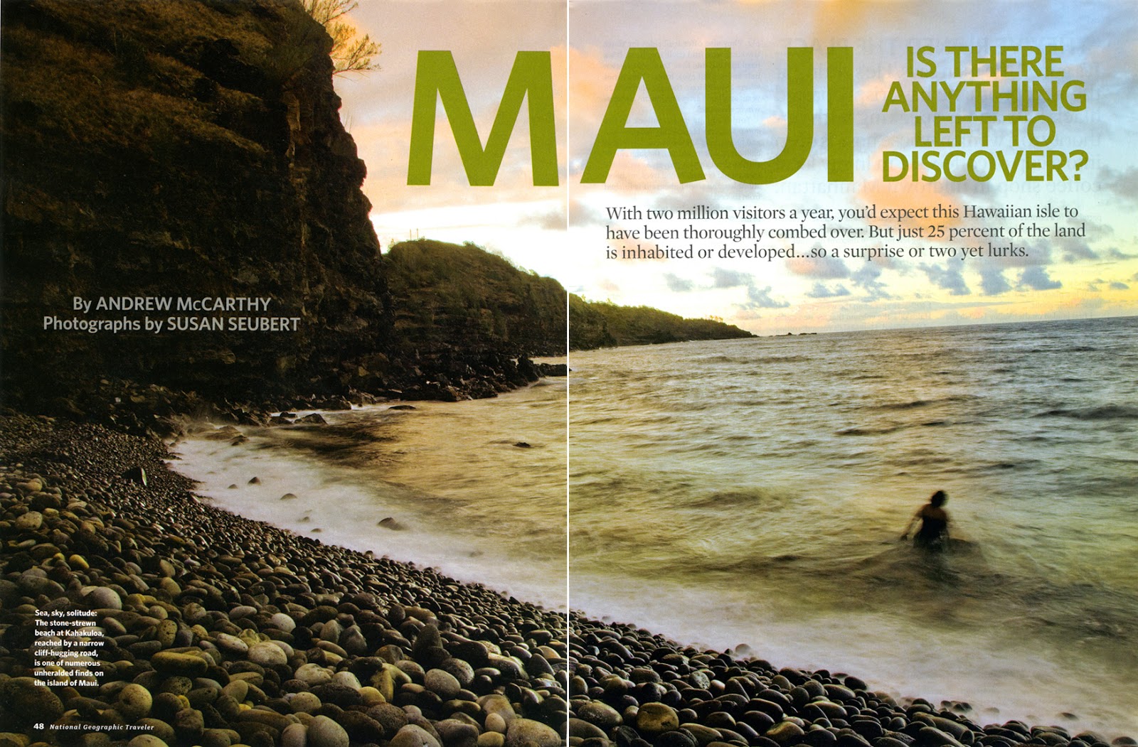 The Art Around Us: Graphic Design-Travel Maui