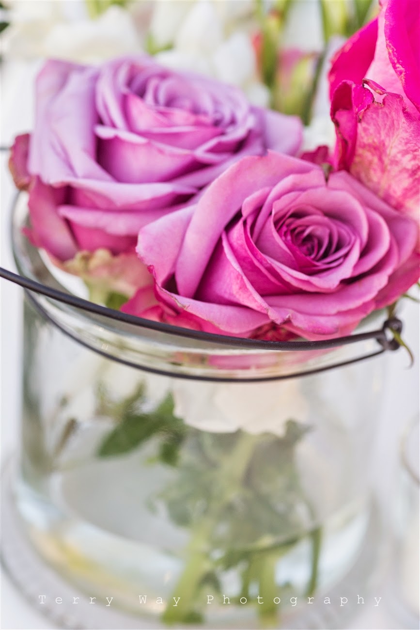 Rancho Soquel Wedding Photographer Terry Way Photography