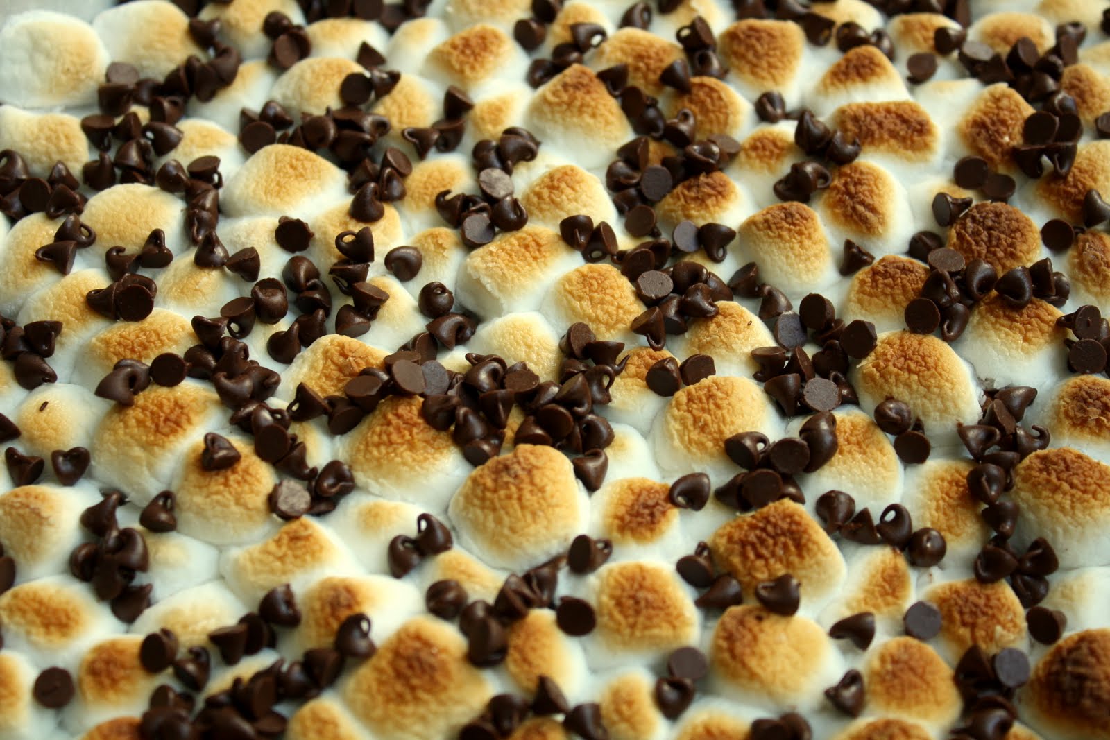 Cave Cibum: S'mores Bars