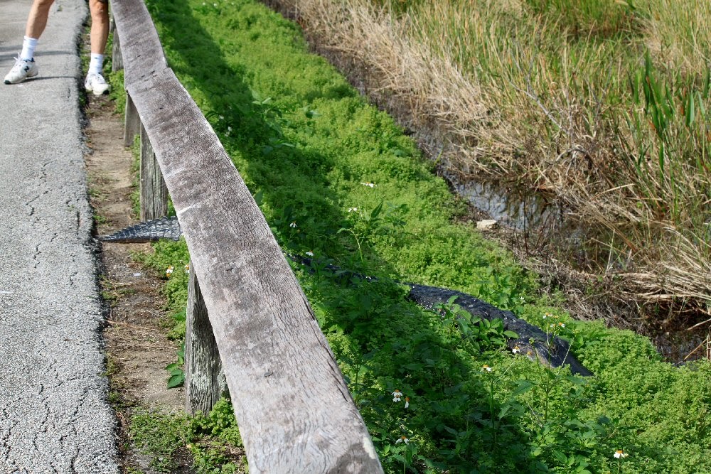 Email This BlogThis! Share to Twitter Share to Facebook Share to Pinterest