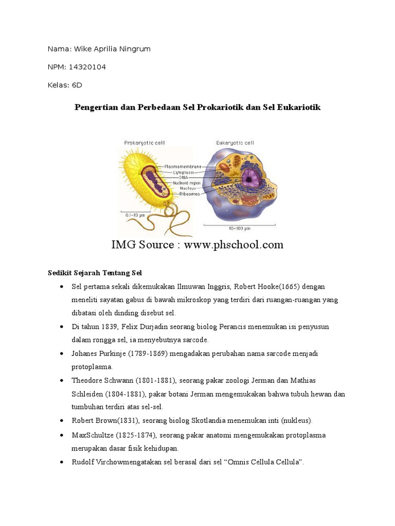 perbedaan sel eukariotik dan prokariotik - wood scribd indo
