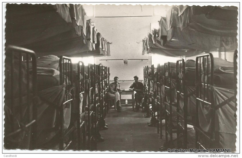 CULTURE et PATRIMOINE DE TUNISIE EN IMAGES- MOHAMED HAMDANE-ثقافة وتراث ...