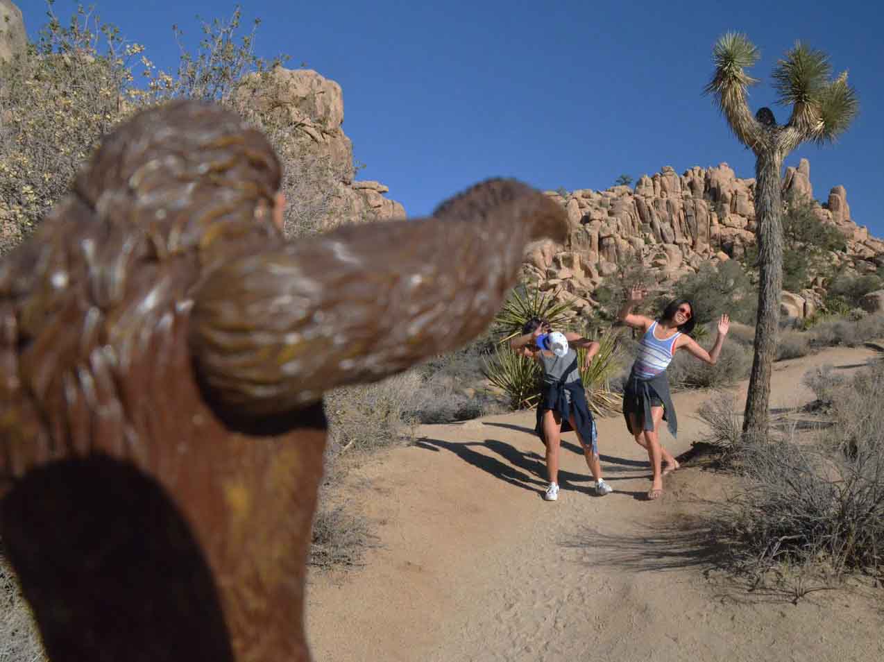 BIGFOOT NEWS and SASQUATCH SIGHTINGS: Spiny Sasquatch Sighting at ...