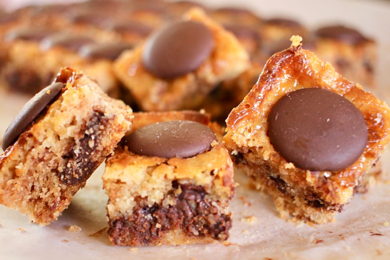 Green Gourmet Giraffe: Sloth slice (Easy choc chip slice)