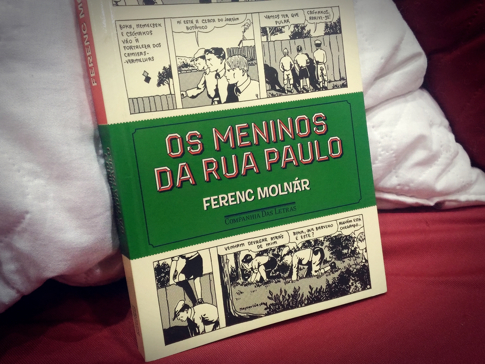 Desbravador de Mundos: Resenha: Os meninos da Rua Paulo