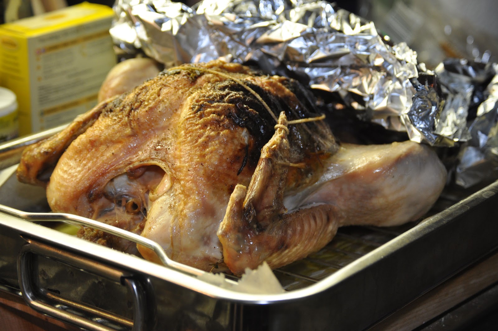 CampaSimpukka: Muuttolinnut ovat saapuneet! Kalkkuna Jamien neuvoin