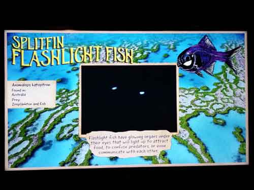 Life Is Better On Vacation: Ripley's Aquarium Of Canada