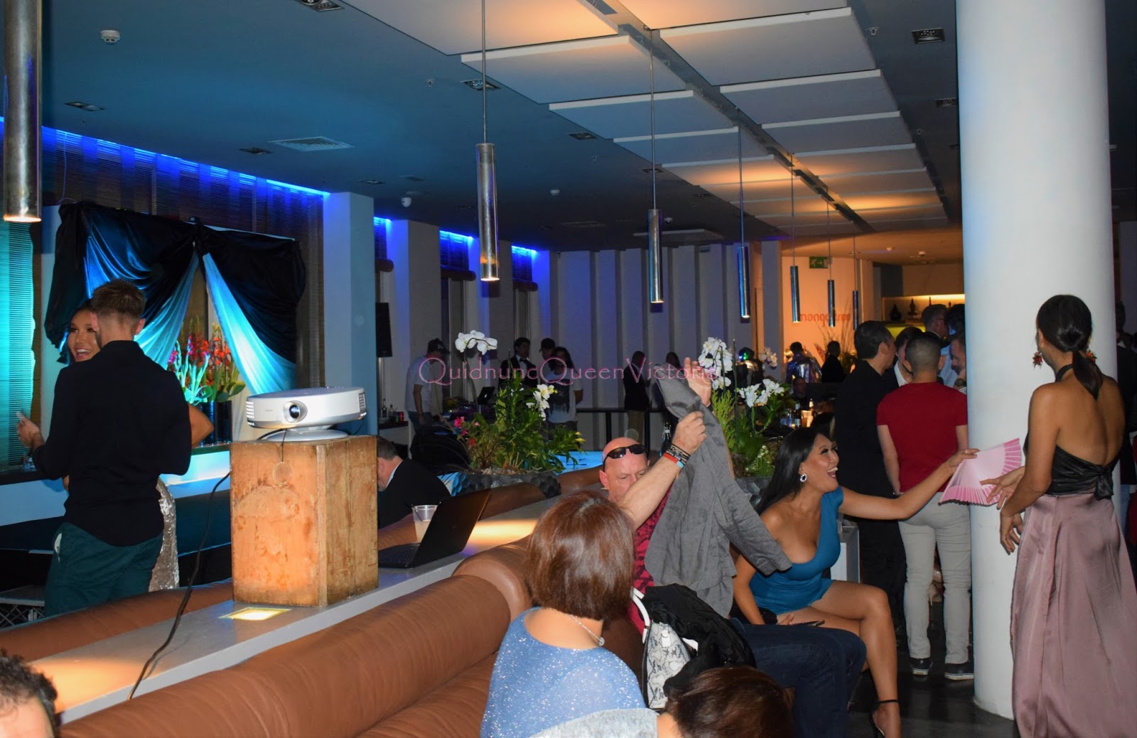 THE QUIDNUNC QUEEN : MISS MANGO TREE OUT OF THIS WORLD 2017