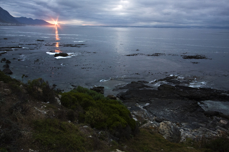 Hermanus Area