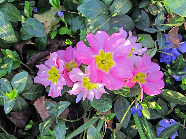 Gatsbys Gardens: Around The Garden