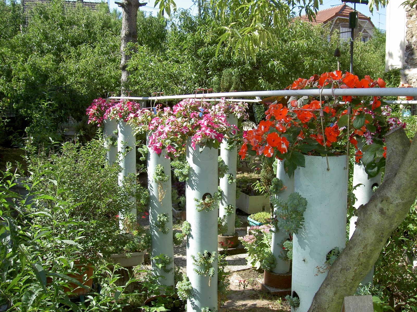 Đào Hoa: MOBILE VERTICAL PVC PIPE FLOWER GARDENS