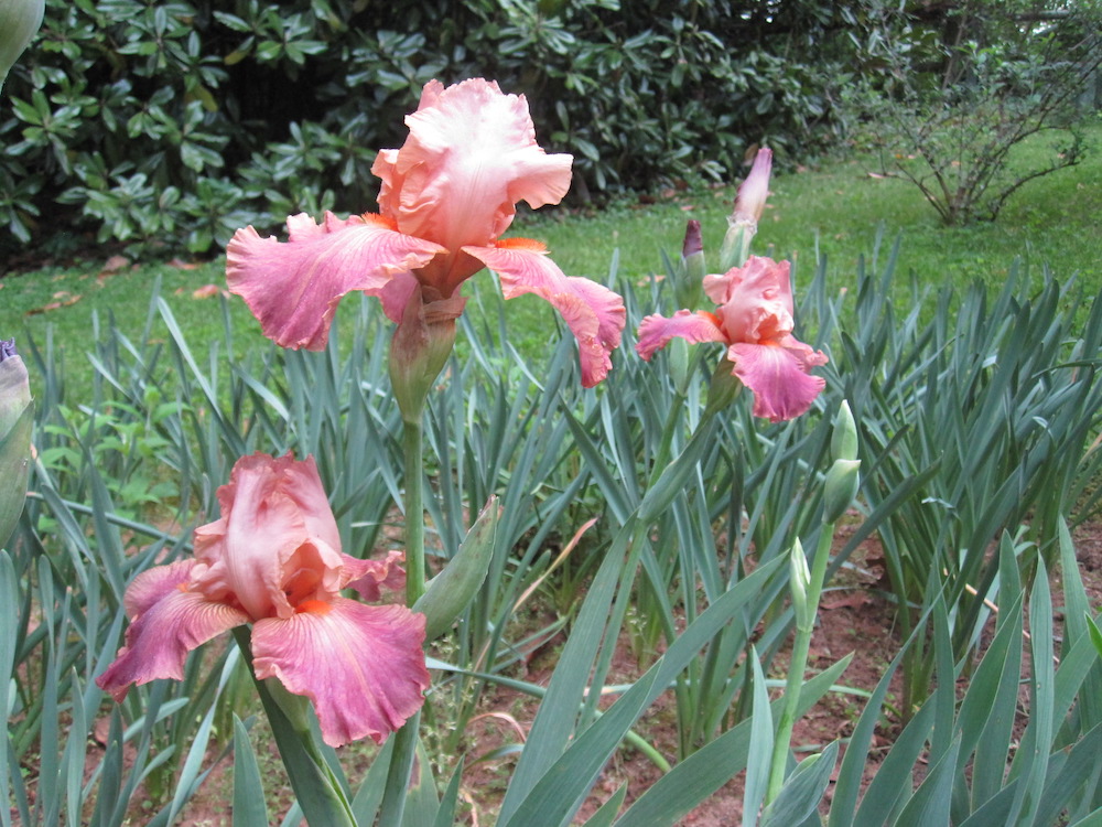 Walter Klingler & Stephen Boydstun : Sunday April 30, 2017 "Role Model ...