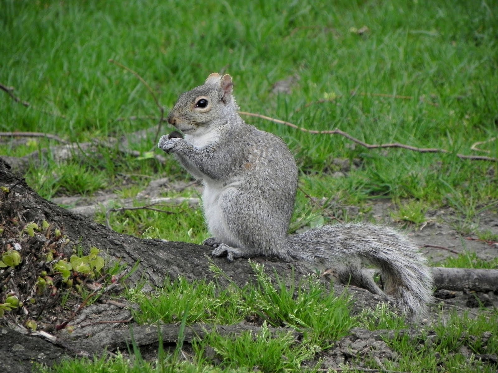 Life and the pursuit of happiness.: Merrimack College