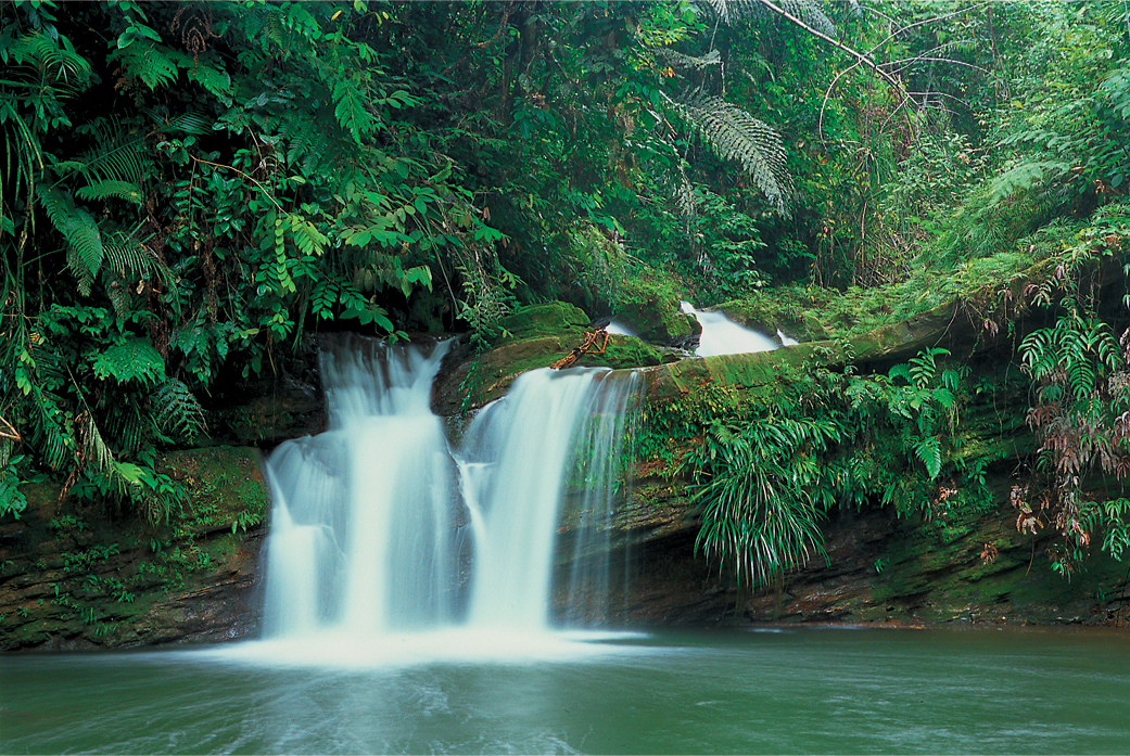 Eco-Travel Diaries:How Bruneians Go Green » Deenise Glitz