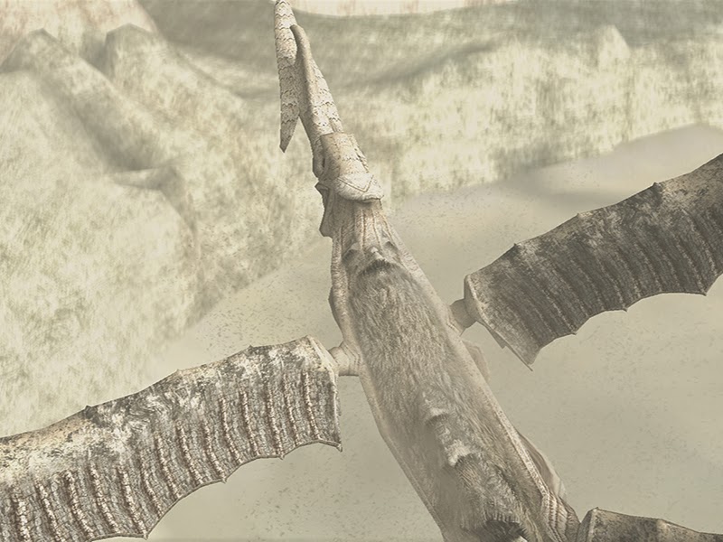 Nomad's blog: 13th Colossus