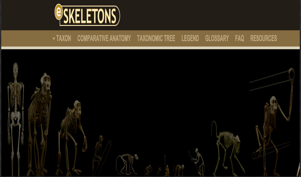 Great Websites to Teach Anatomy of Human Body in 3D ~ Educational ...