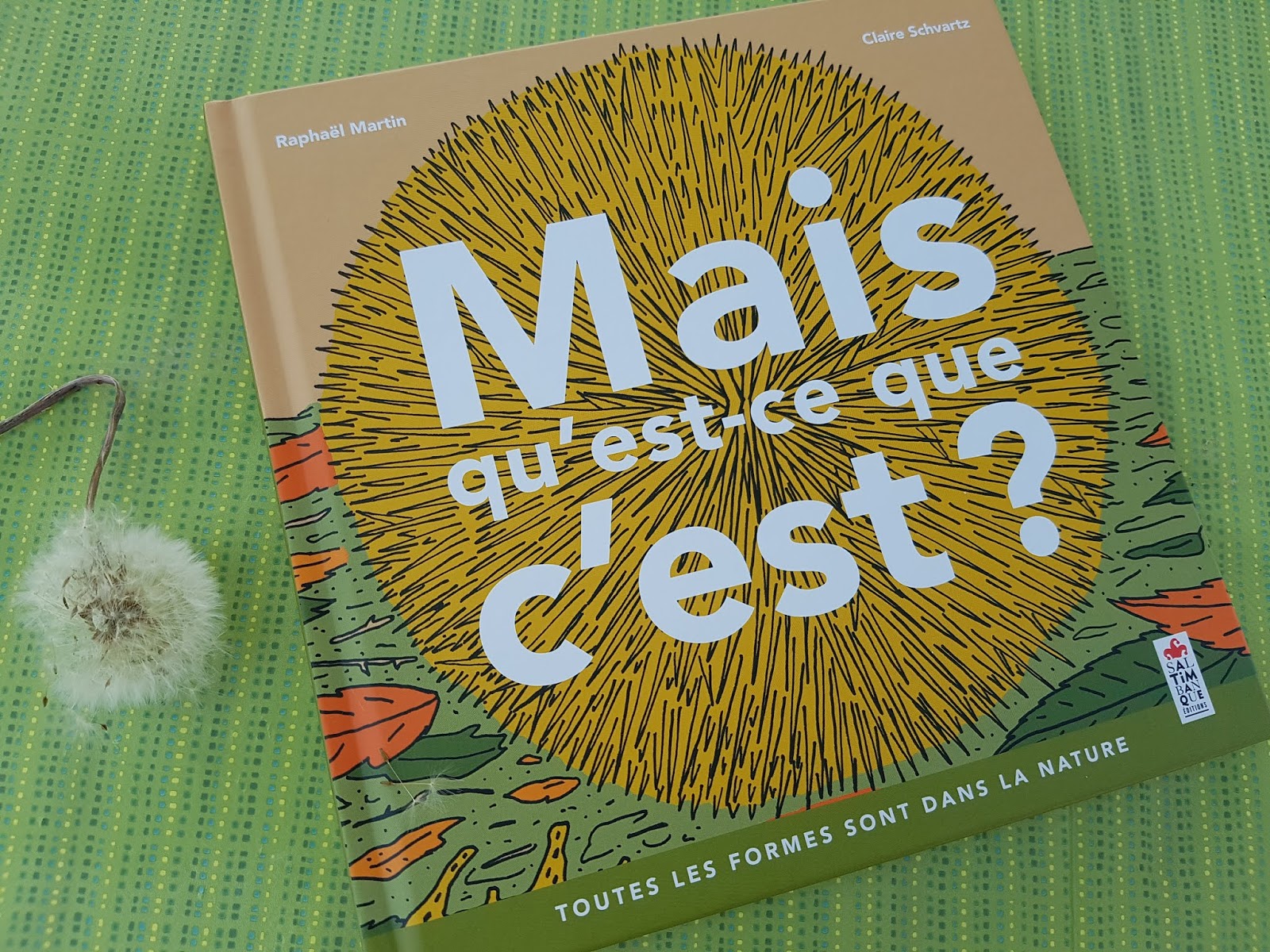 Sous le feuillage: Mais qu'est-ce que c'est ? de Raphaël Martin et ...