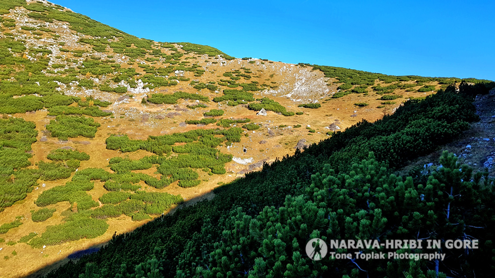 Narava hribi in gore: Jesen Knipsovo sedlo in Peca 2126 m