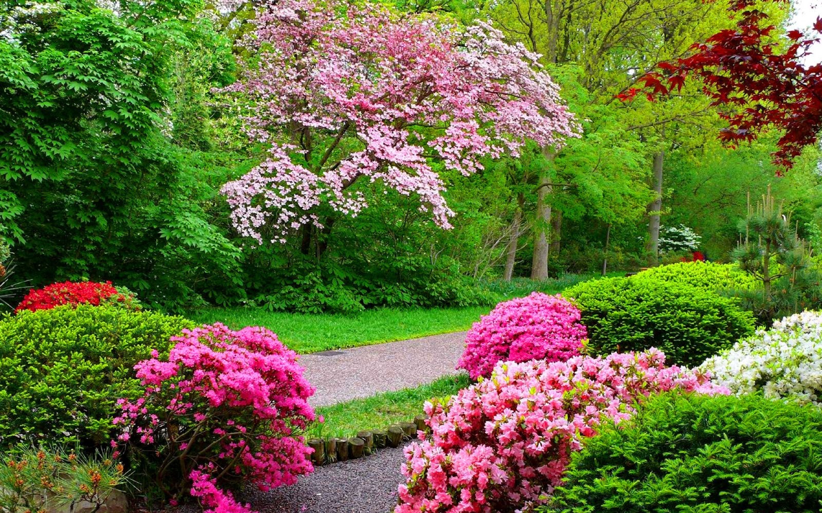 landscape taman bunga Indah 081290627627 ~ jasa pembuatan taman ...