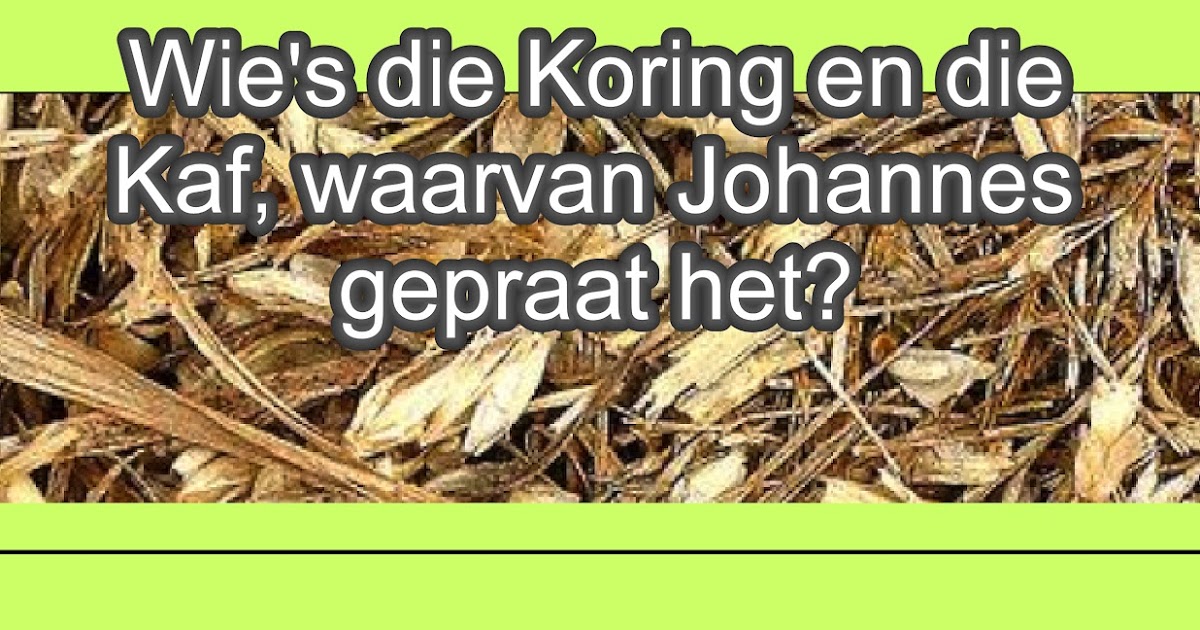 Moose Chronicles .....from Afar!: "Koringkorrels vs die kaf van koring