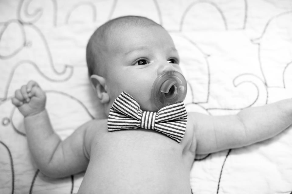 The Cupcake Life 6 Weeks Old Picture Time the-cupcake-life-6-weeks-old-picture-time