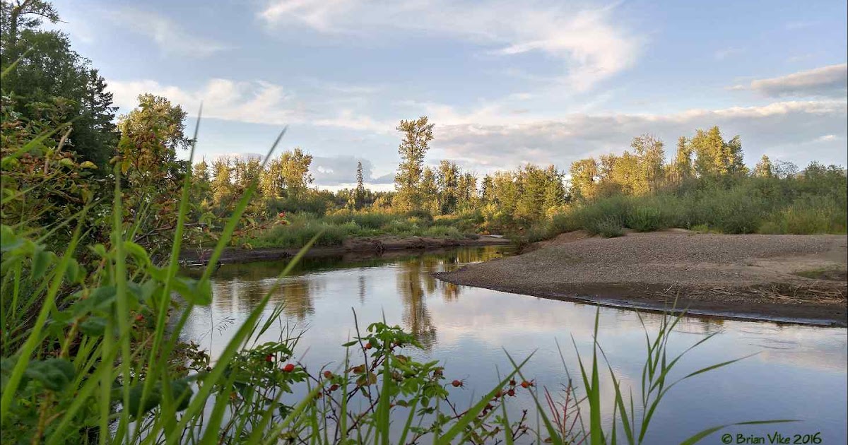 Northern Interior British Columbia: Bulkley River And Plant Life ...