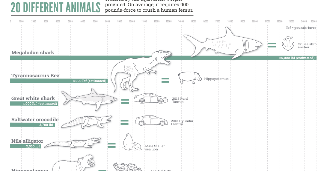 Chart Shows The Real Unadulterated Strength of Different Animal's Bites ...