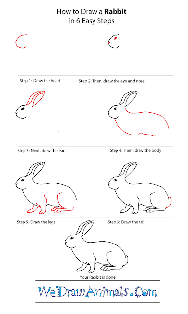 GrowinginPre-K and K: Drawing Animals