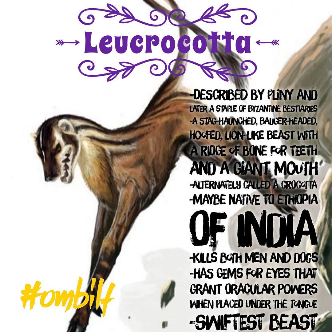 Planar Adventures for Dummies: Ecology of the hyena, thoa, and leucrota