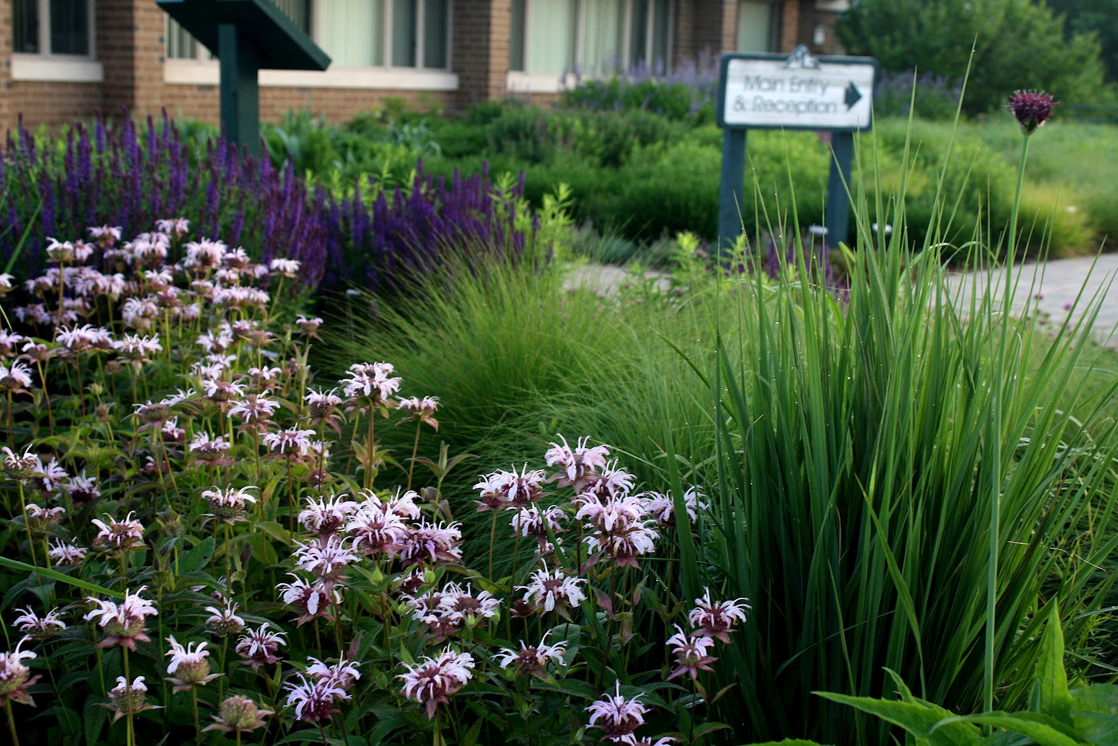 MIDWEST GROUNDCOVERS Display Gardens & Plant Trials: Piet Oudolf ...