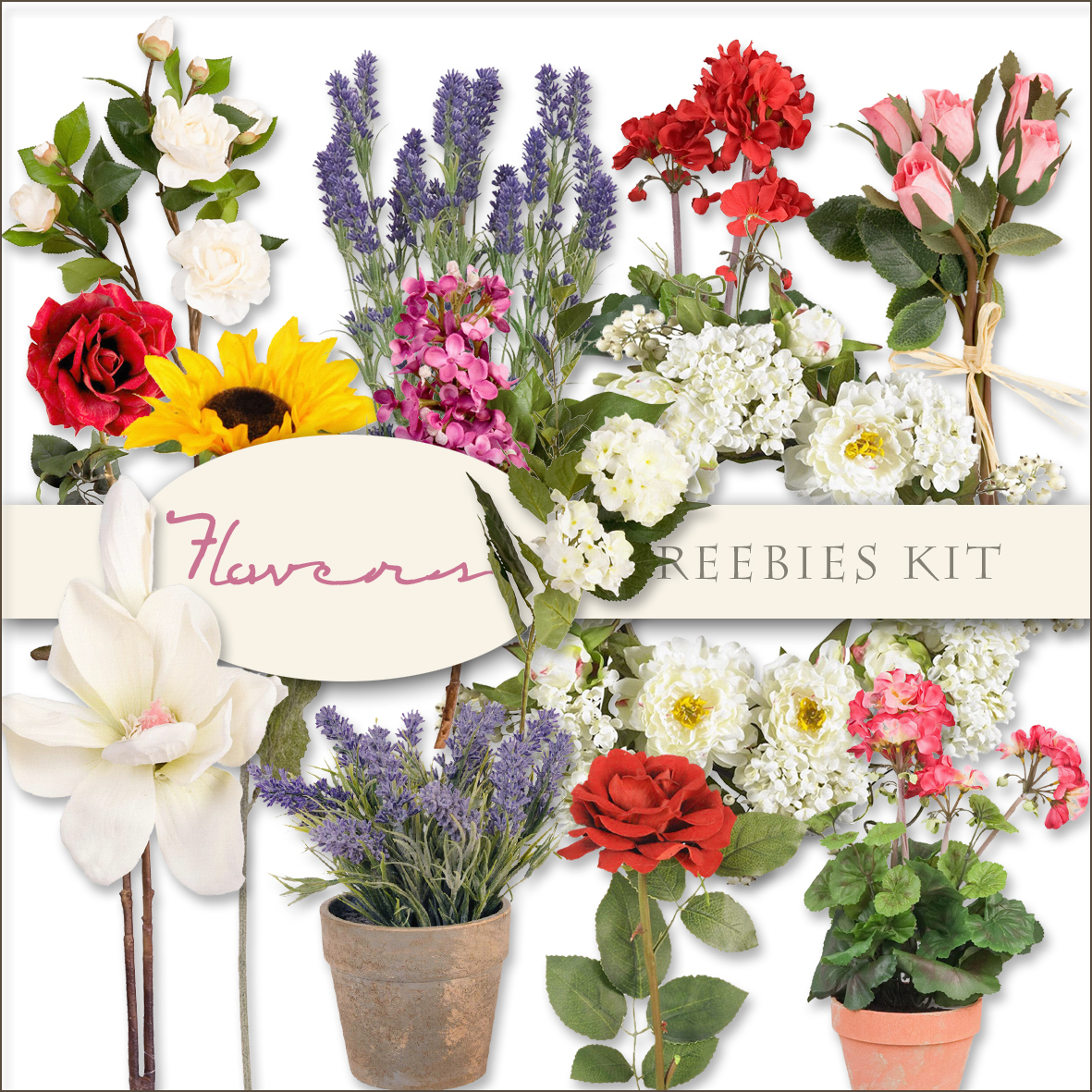 Scrap. DOT: New Freebies Flowers Kit