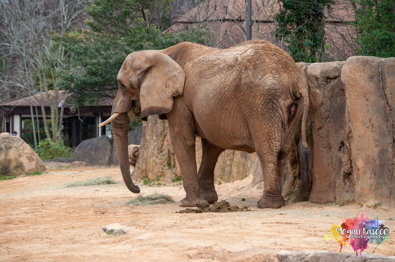 can I decide another day?: Riverbank Zoo (Photos)