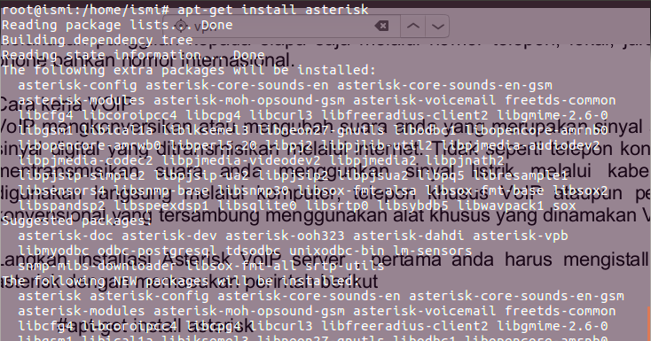 Rizqiindra: Tutorial konfigurasi VOIP menggunakan Asterisk