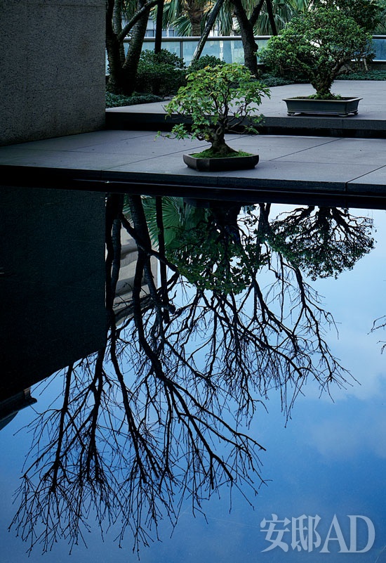 ZEN REDEFINIDO [] ZEN REDEFINED