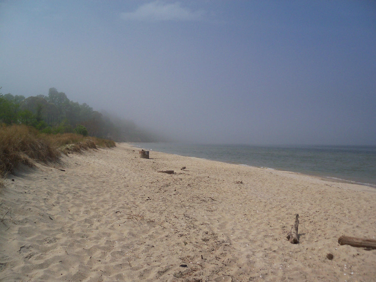 A View from the Beach: Foggy at the Beach