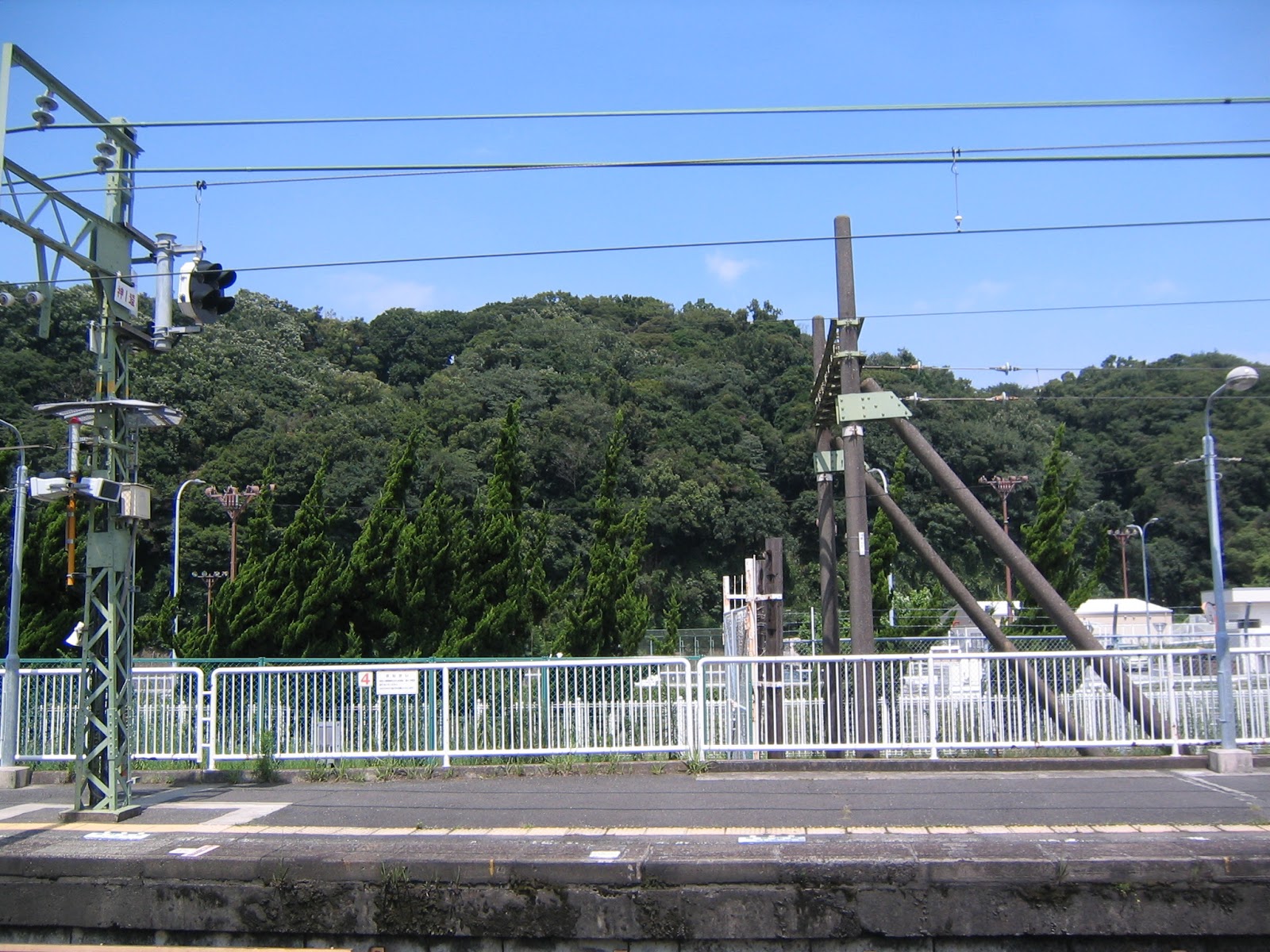 Adventure in Yokohama Citizen Forest: Unintended Consequences: Forest ...