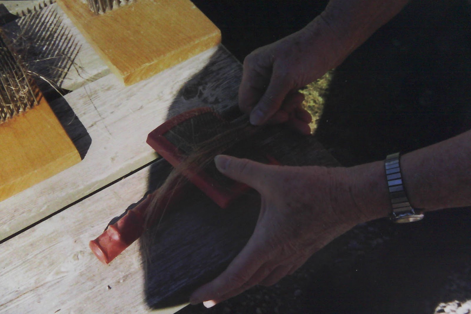 MOSTLY ABOUT FLAX: Growing and Processing Flax (with photos)