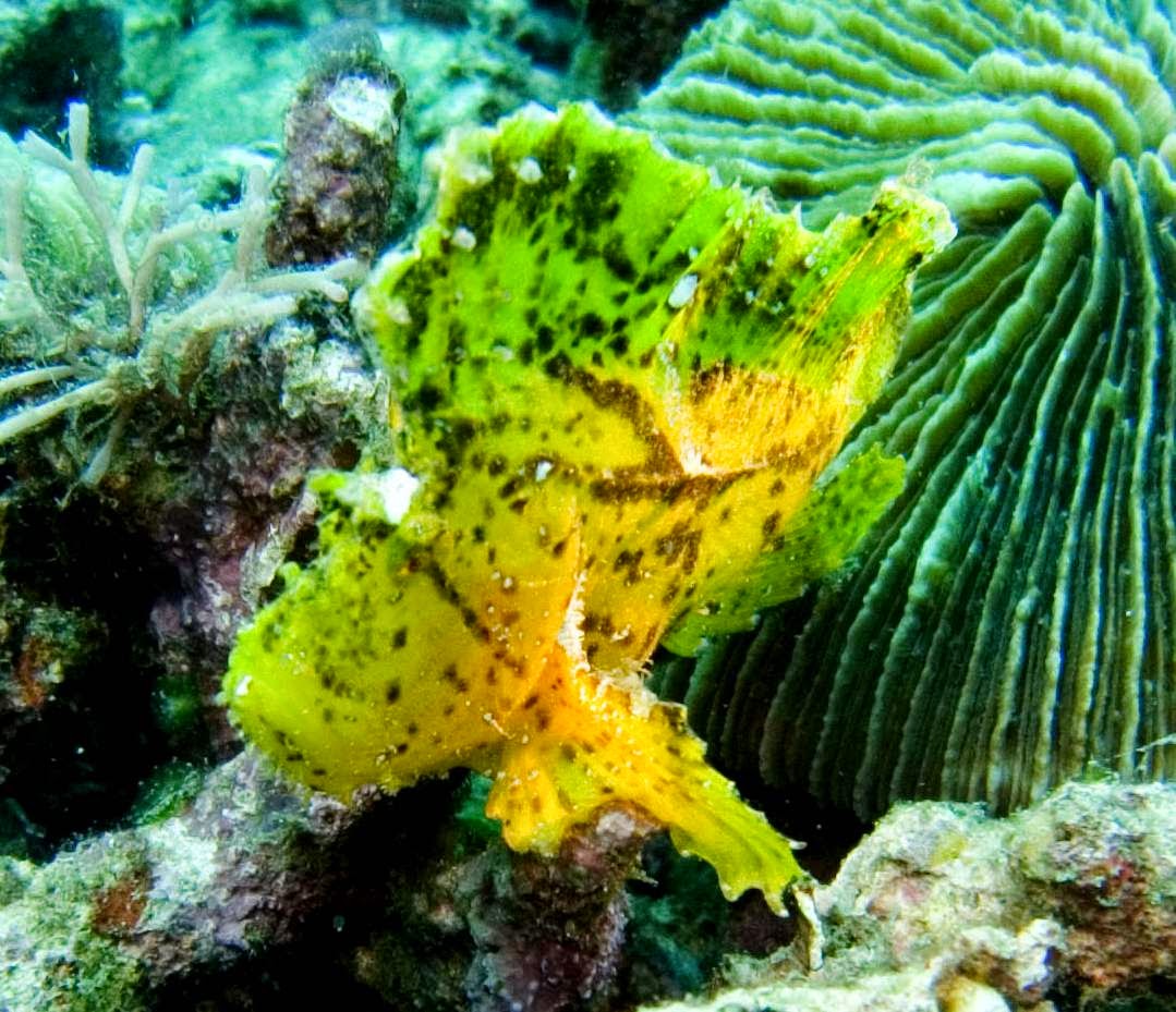 seeing INDONESIAN the Miracle of North Archipelago_EXplore TRAvel Guide ...