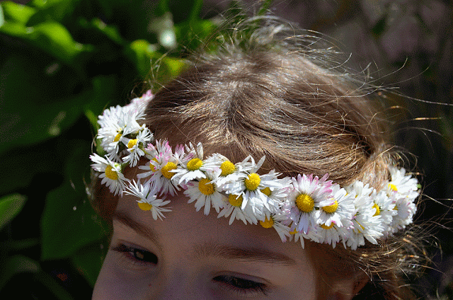 El Rincón de la Mariposa: abril 2016