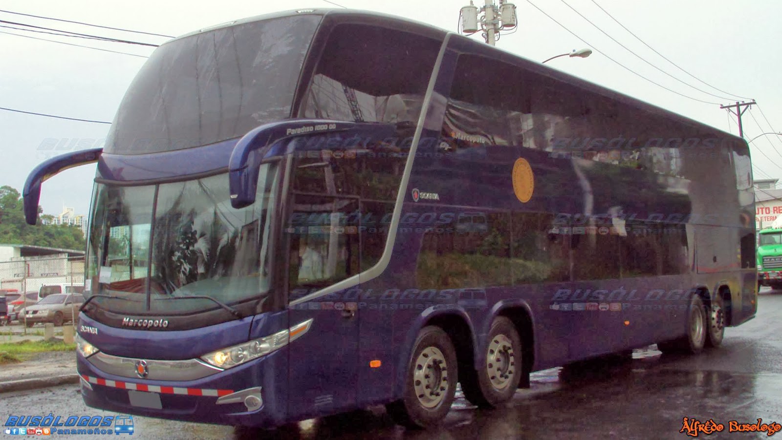 Panther Next Level, Terminales David Panamá