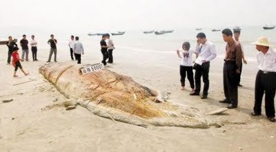 fantastique et paranormal asiatique: Le poisson géant du Guangdong en Chine