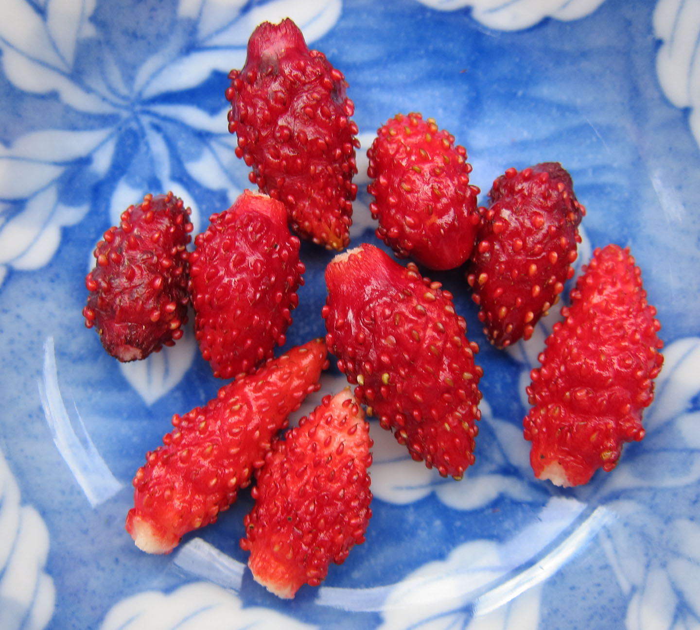 66 Square Feet (Plus): What to do in September