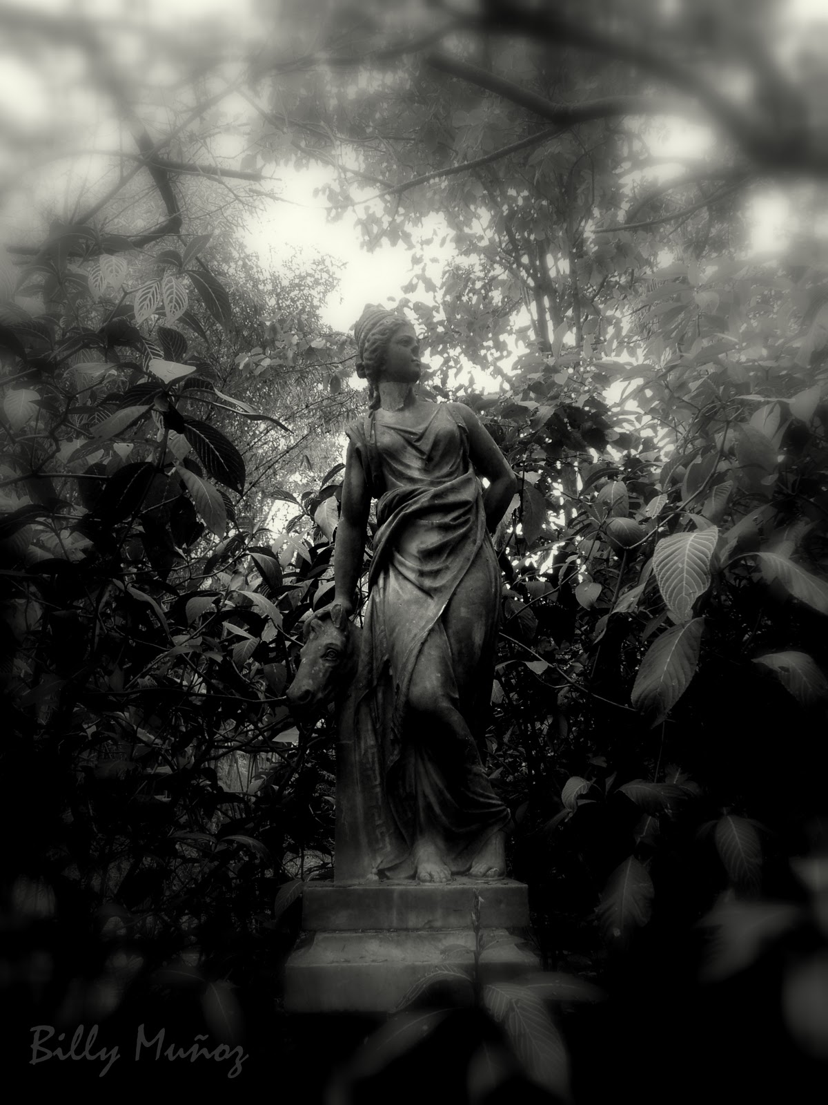 Donde el viento me llevó: La Siguanaba