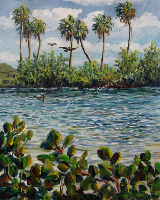 Fawn's Paintings: Inlet Shore, plein air, Florida landscape
