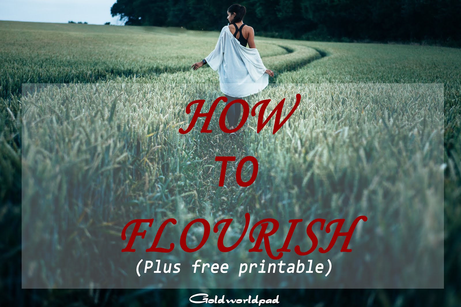 How to Flourish - Goldworldpad