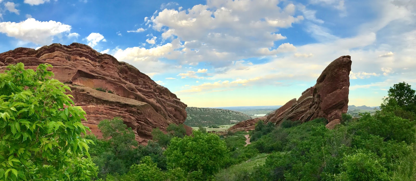 robbie's eye - a view from robbie's eye ( and camera) to yours ...