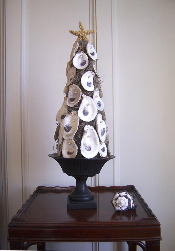 Taditional Tropical Home: Christmas past, remembering my Oyster cone tree