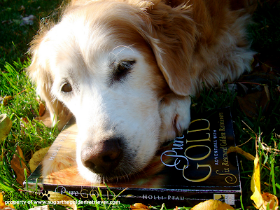 Pure GOLD Book - Golden Woofs